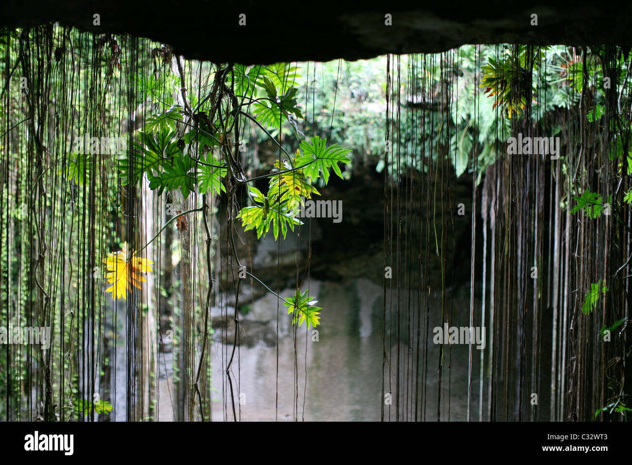 Cycling lesson hi-res stock photography and images - Alamy