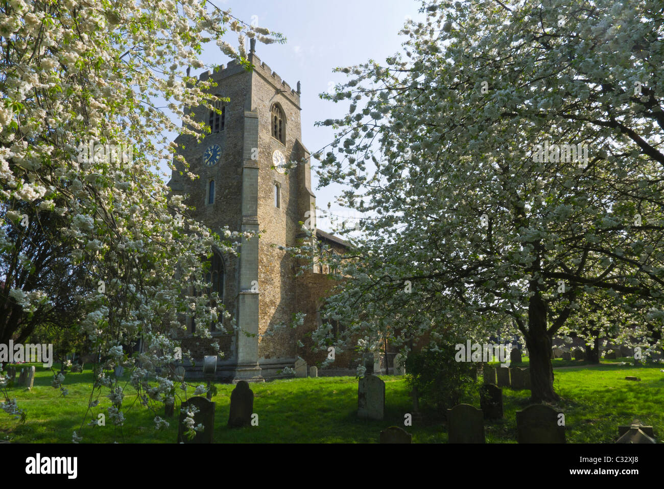 Dersingham hi-res stock photography and images - Alamy