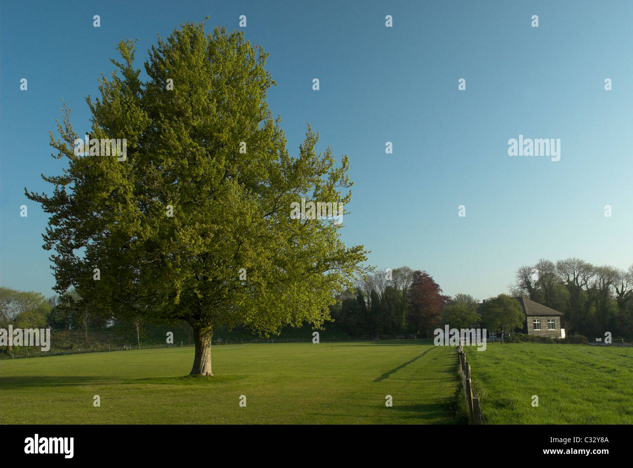 Burpham village green in early spring sunshine Stock Photo - Alamy