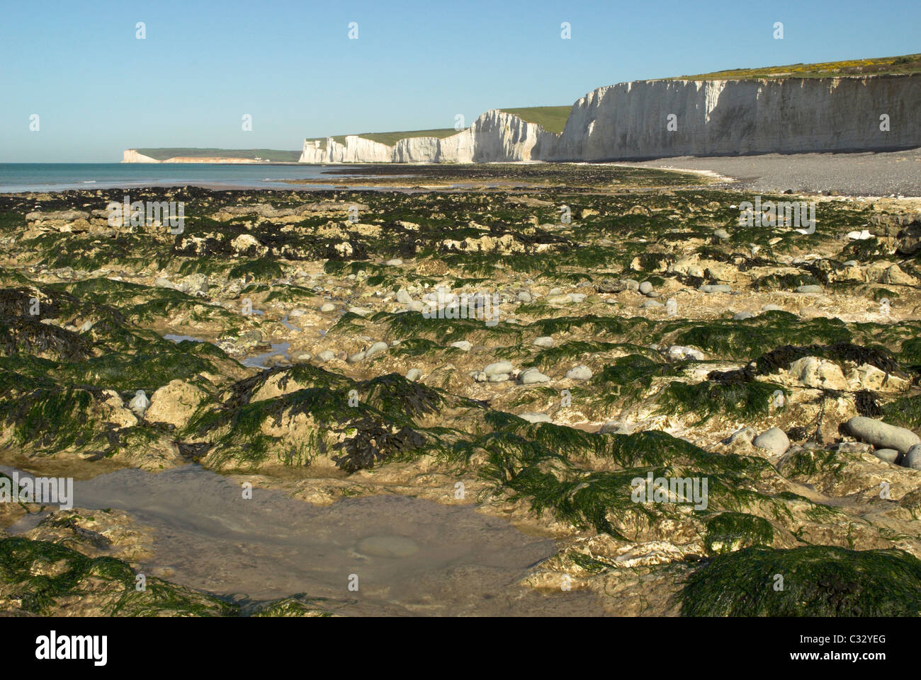 The Seven Sisters and Cuckmere Haven from the rocky beach at Birling Gap in the South Downs ...