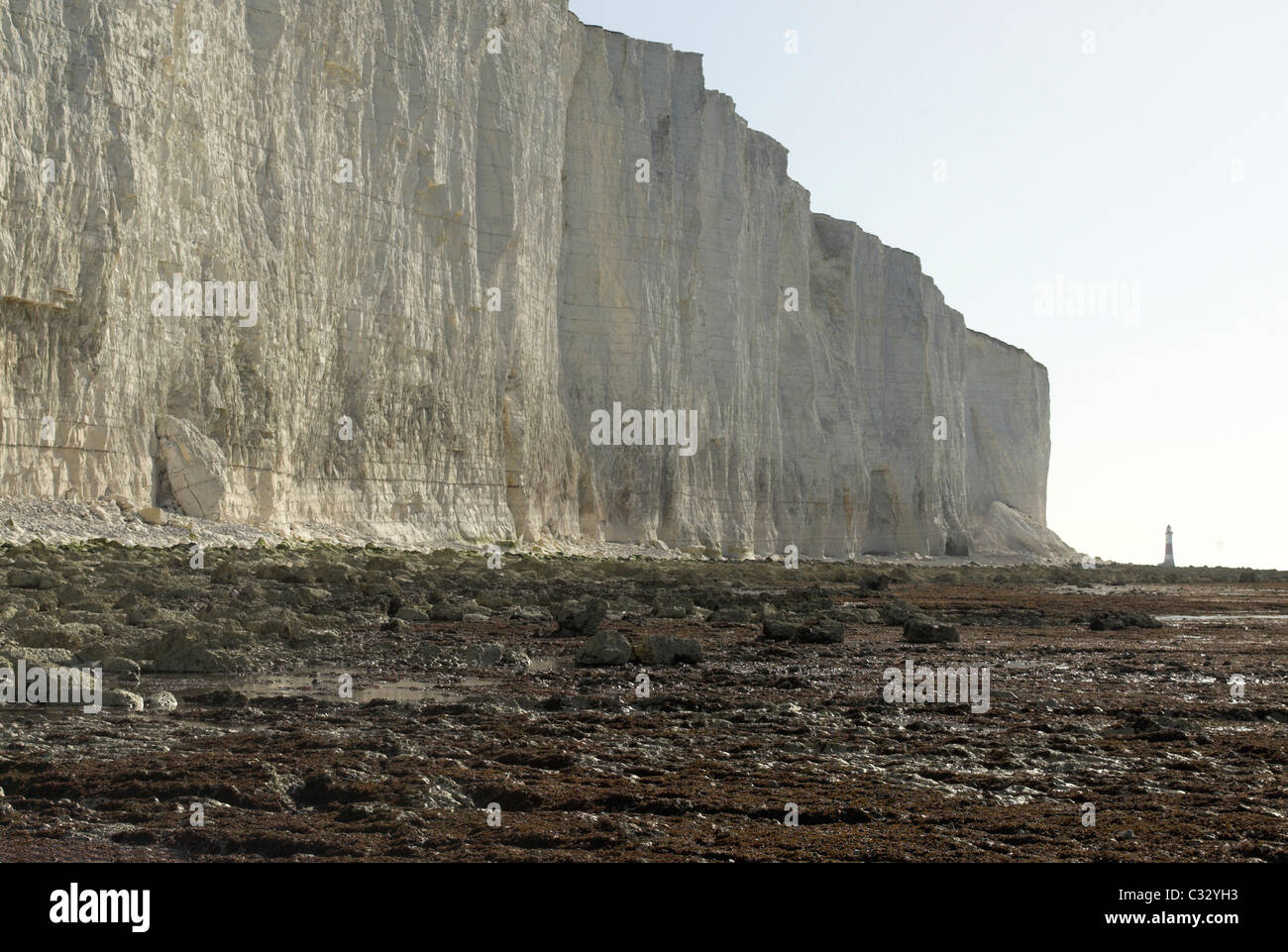White cliffs leading to Beachy Head - South Downs National Park Stock ...