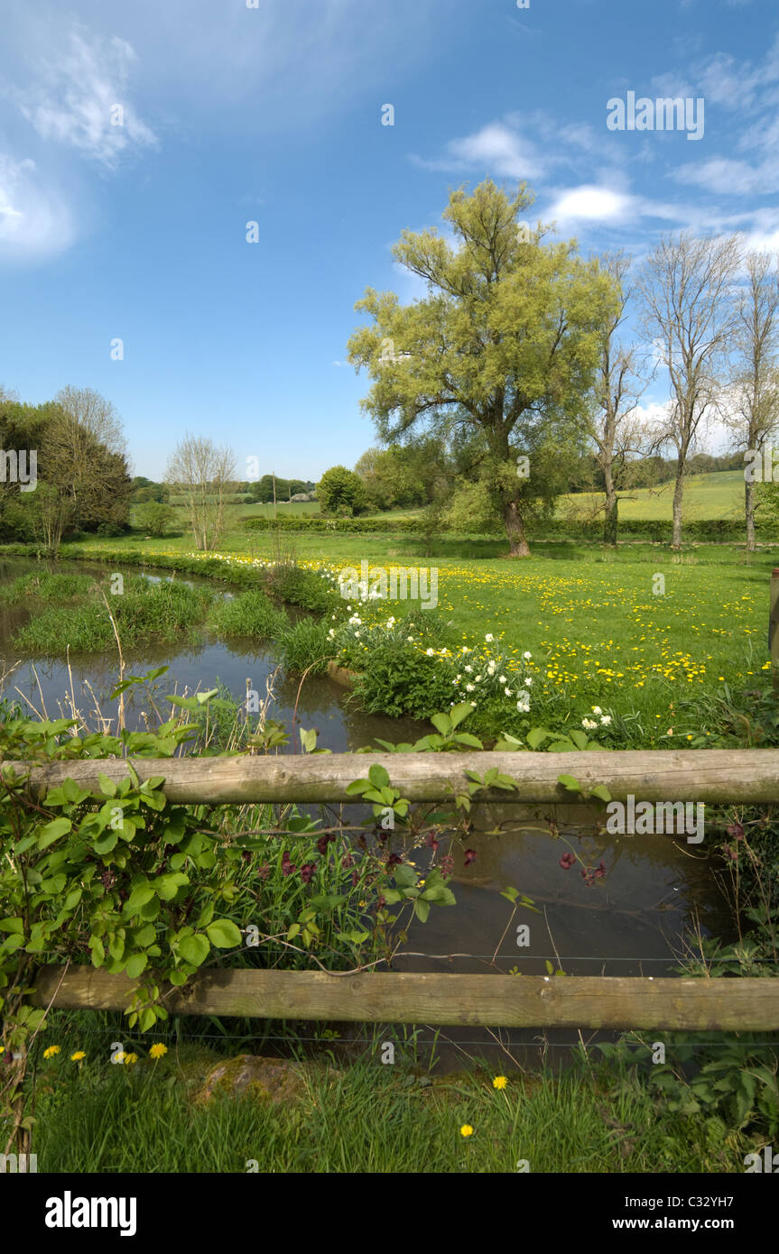 River meon hi-res stock photography and images - Alamy