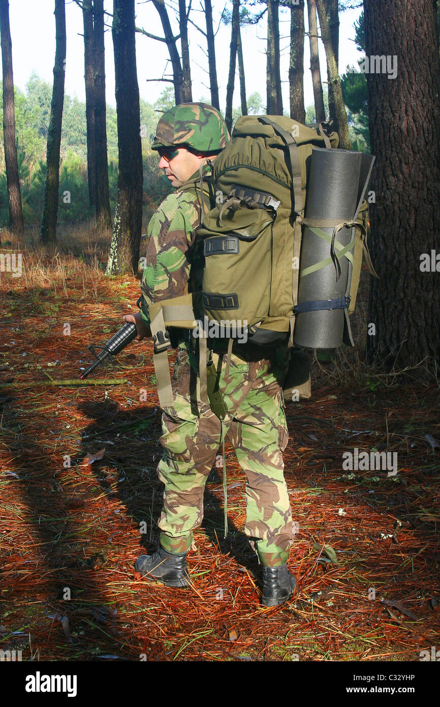 Military training combat, forest/jungle environment Stock Photo - Alamy