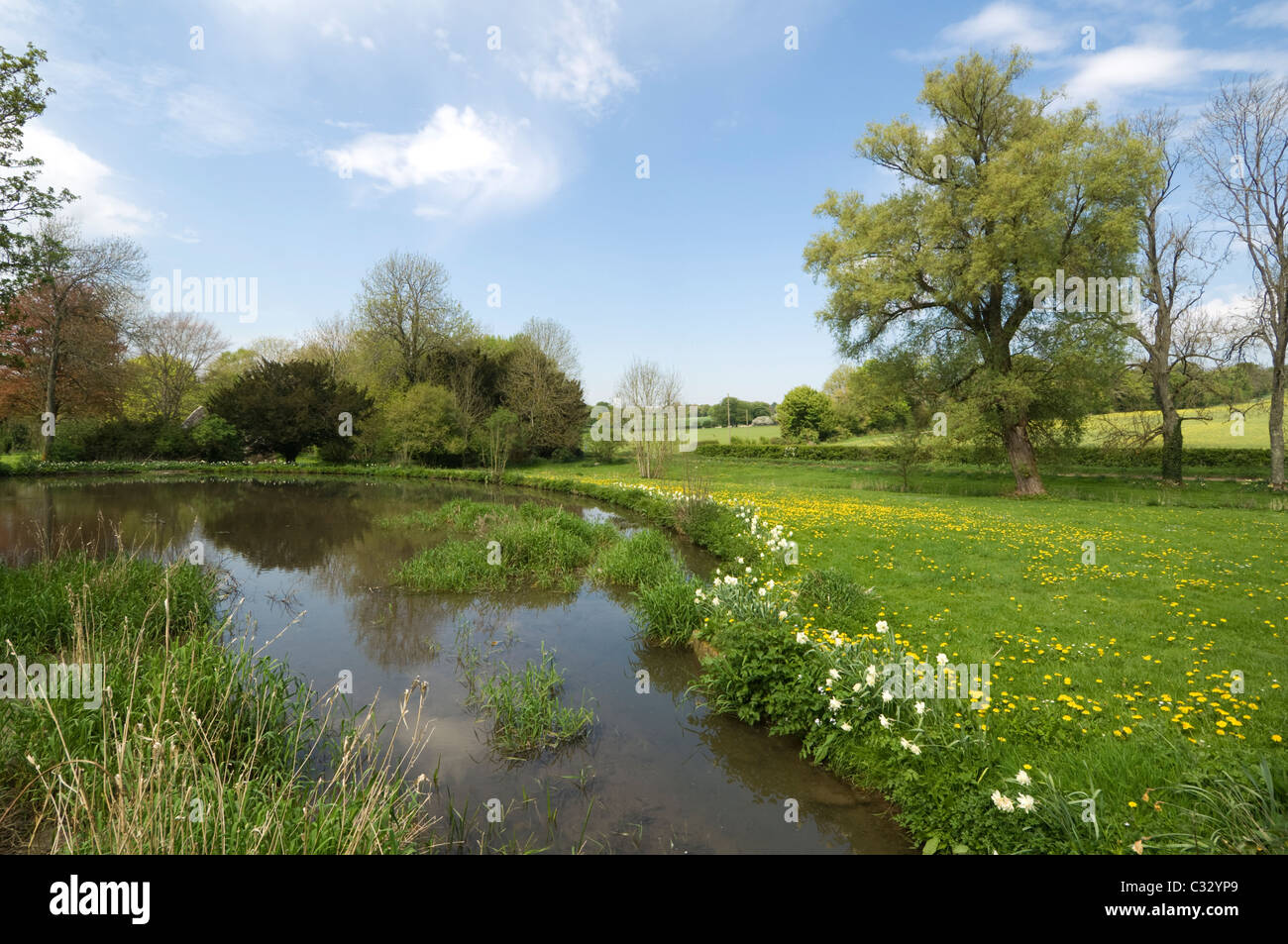 Water Meadows Meon Valley Hampshire UK Stock Photo - Alamy