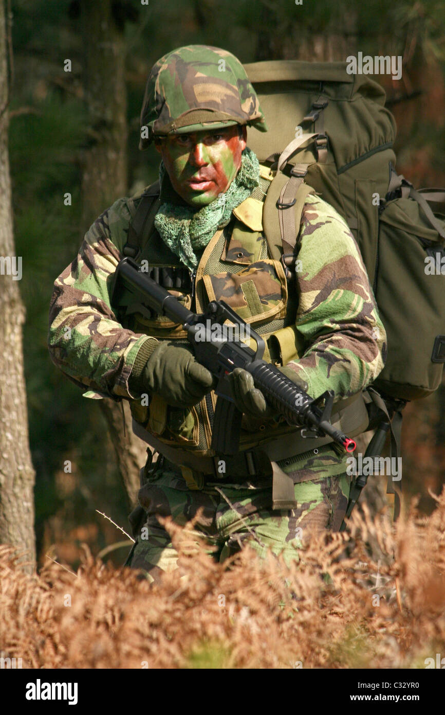 Military training combat, forest/jungle environment Stock Photo - Alamy