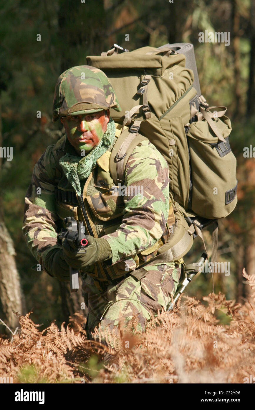Military training combat, forest/jungle environment Stock Photo - Alamy