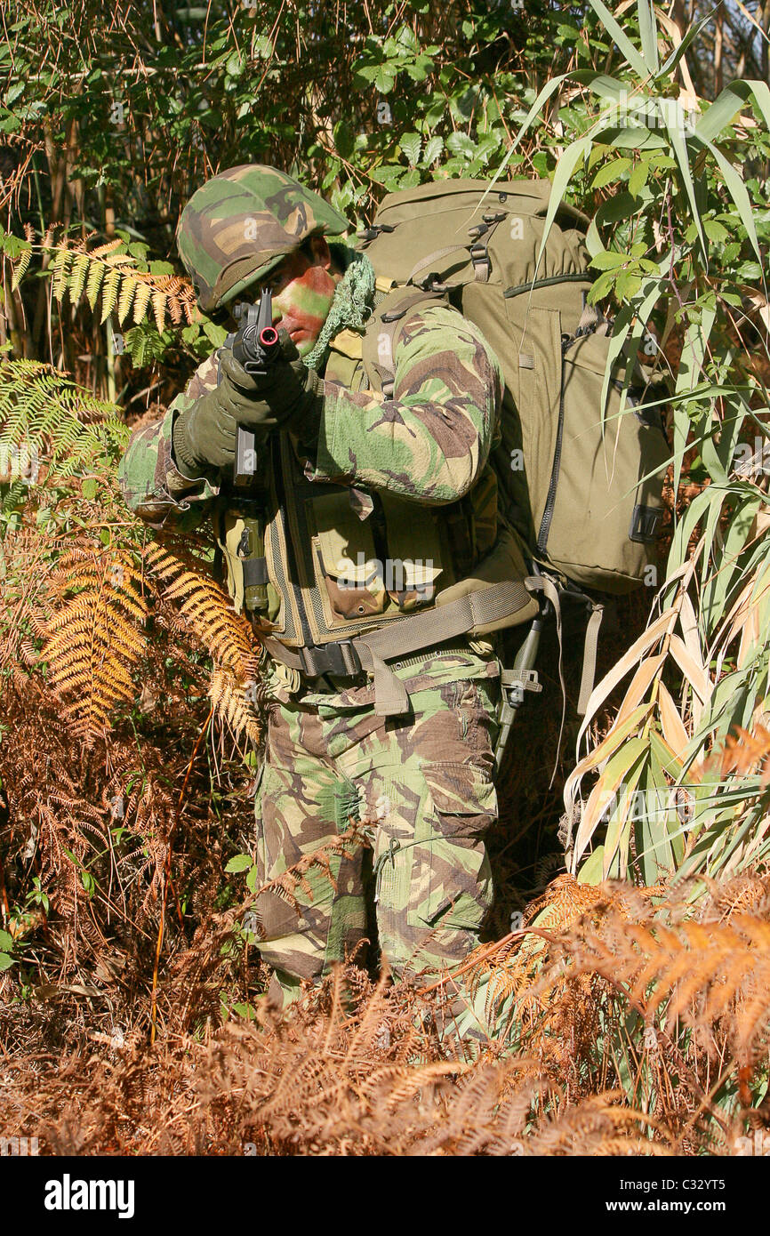 Military training combat, forest/jungle environment Stock Photo - Alamy