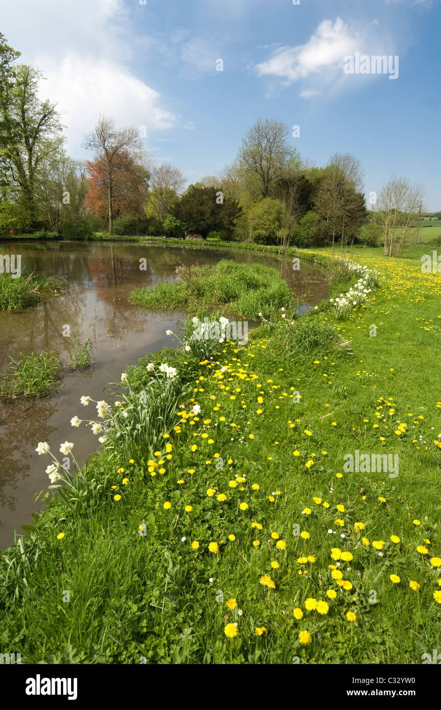 Meon valley hi-res stock photography and images - Alamy