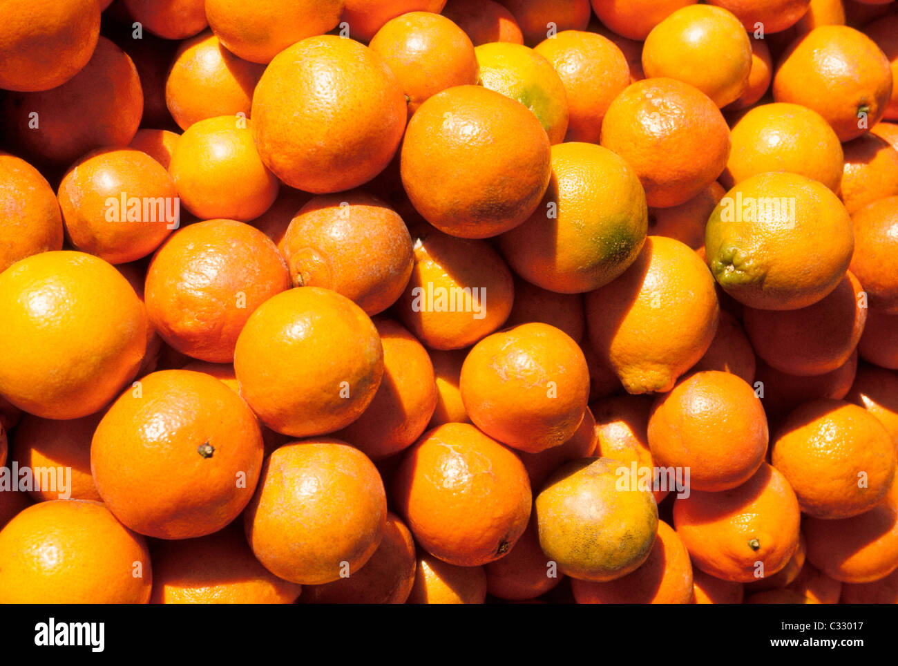 Colorful piles of famed Indian River navel oranges and other fruits ...