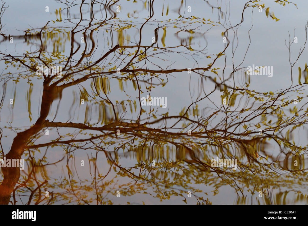 Mind the water hi-res stock photography and images - Alamy