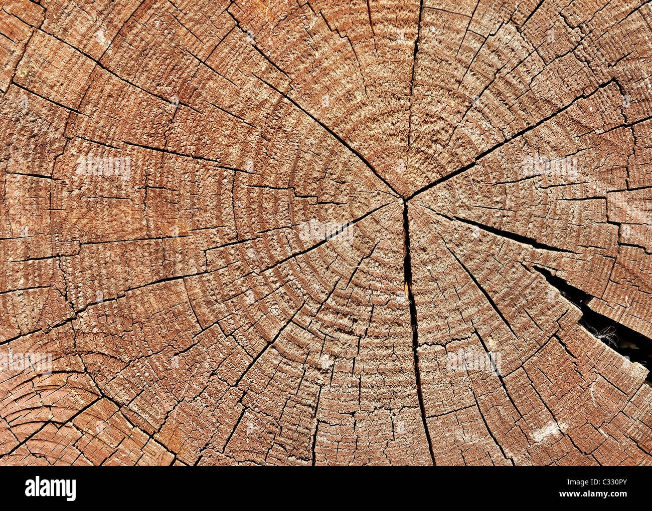 Weathered wooden cut Stock Photo - Alamy