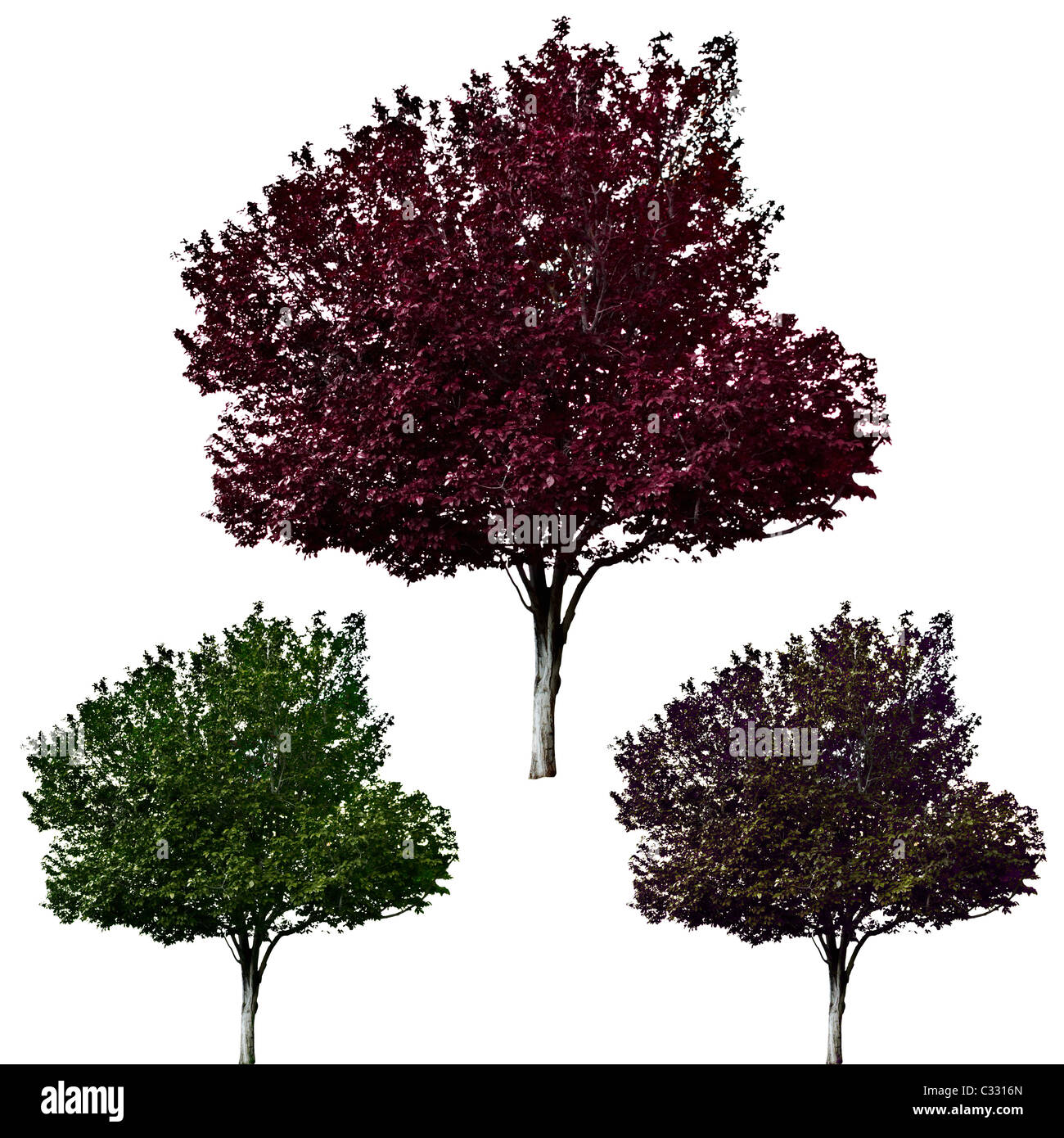 Set of trees hi-res stock photography and images - Alamy