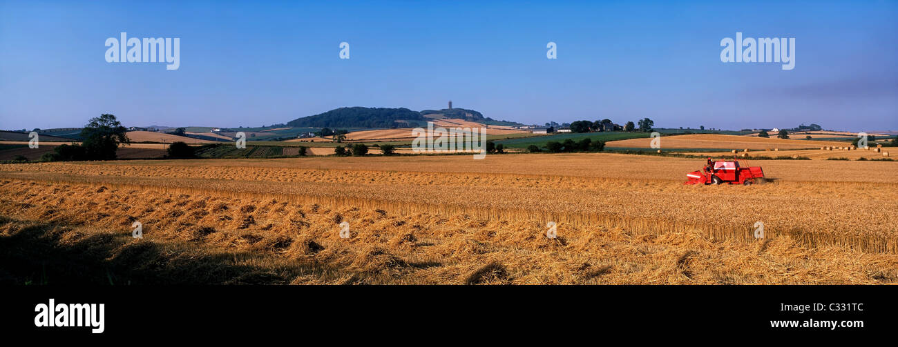 Irish harvesters hi-res stock photography and images - Alamy