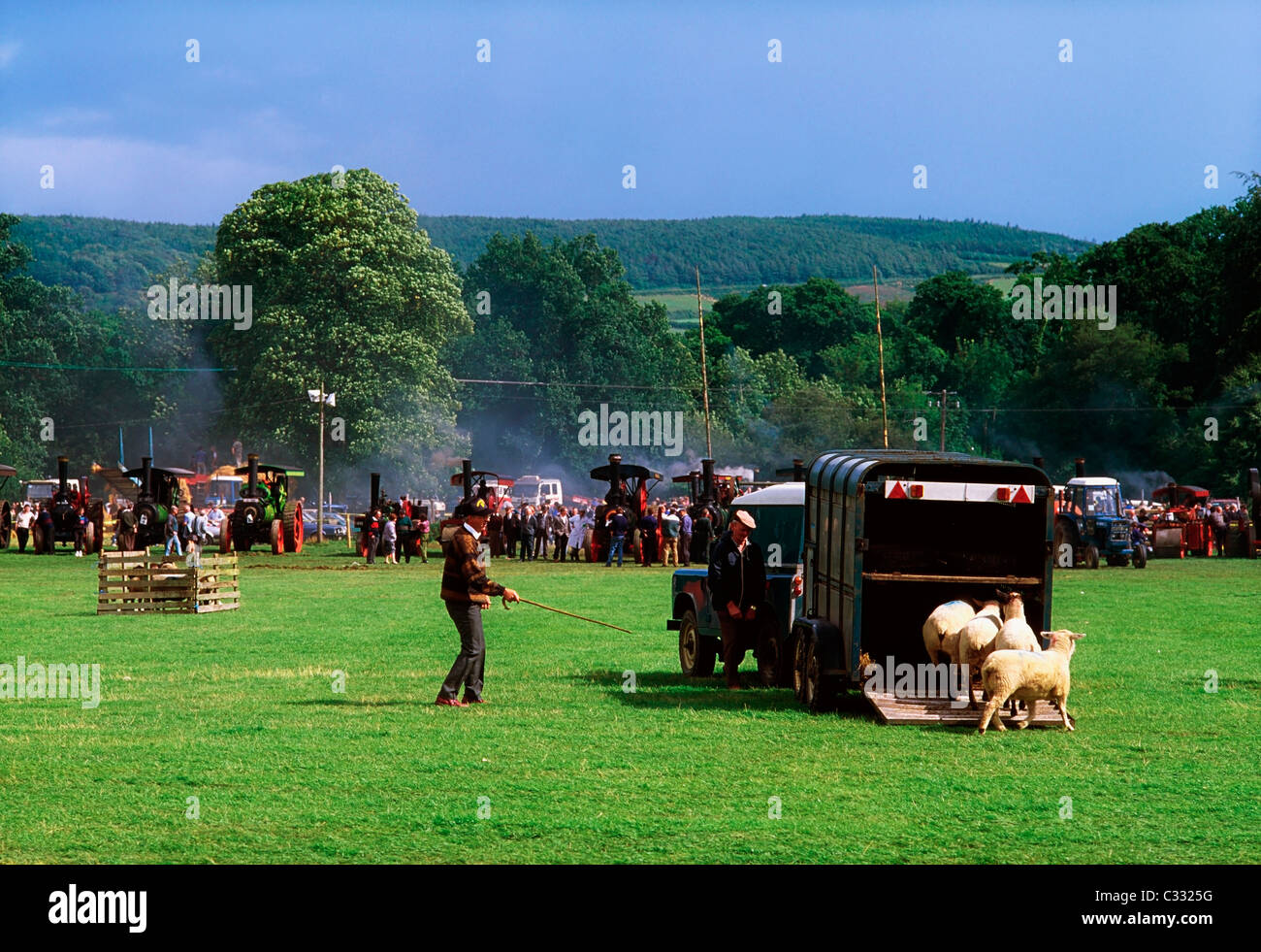 Stradbally, Co Laois, Ireland, Traditional Fair Stock Photo - Alamy
