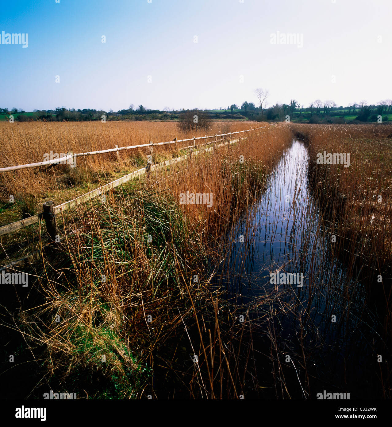Curragh kildare hi-res stock photography and images - Alamy
