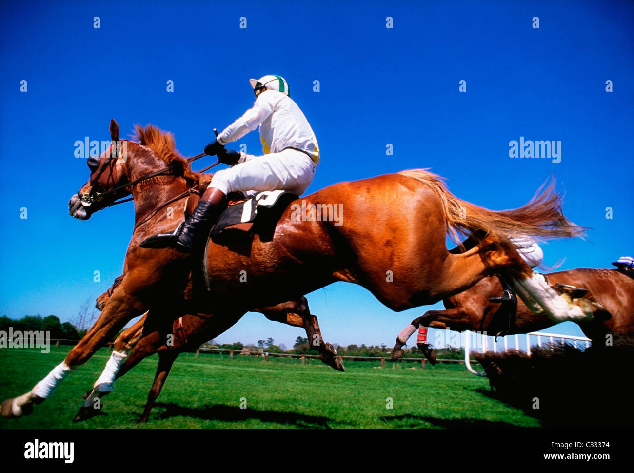 National Hunt, Ireland Stock Photo - Alamy
