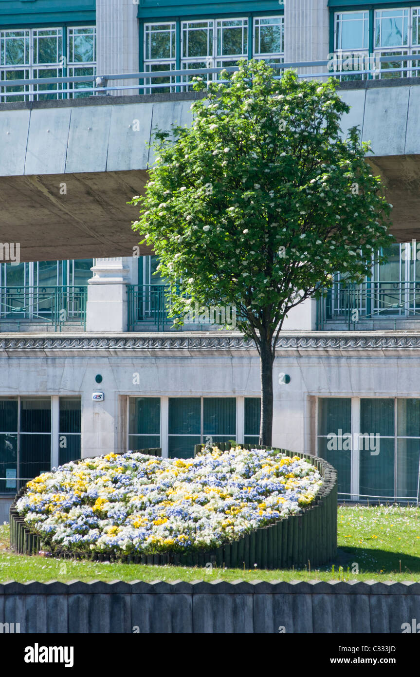 Roundabout tree hi-res stock photography and images - Alamy