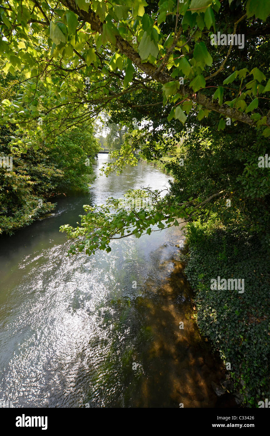 river test from the test way path Stock Photo - Alamy