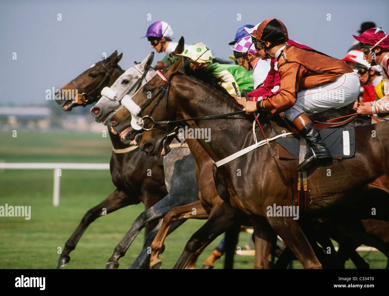 Horse Racing Track Northern Ireland High Resolution Stock Photography ...