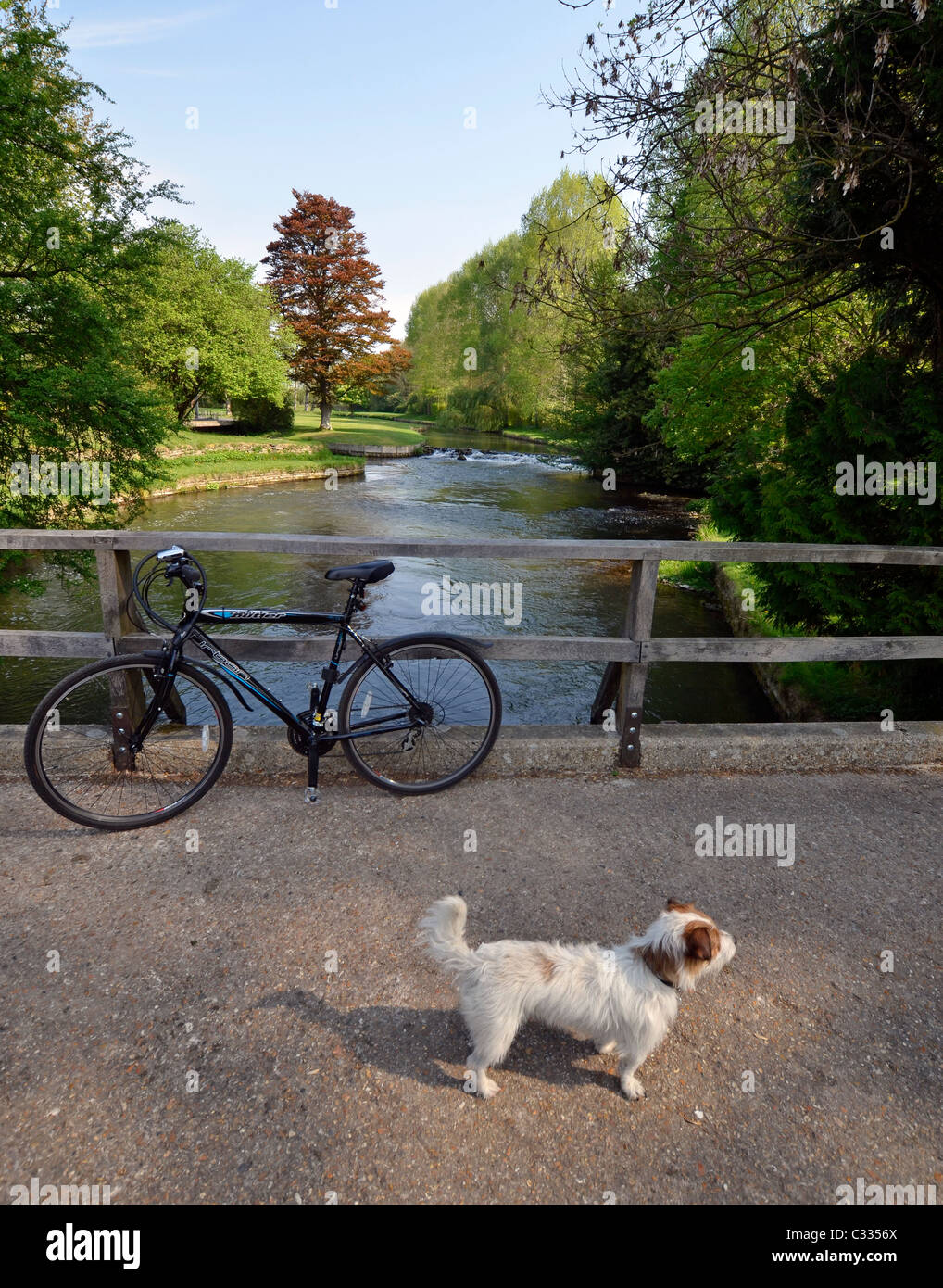 bridge over river test Stock Photo - Alamy