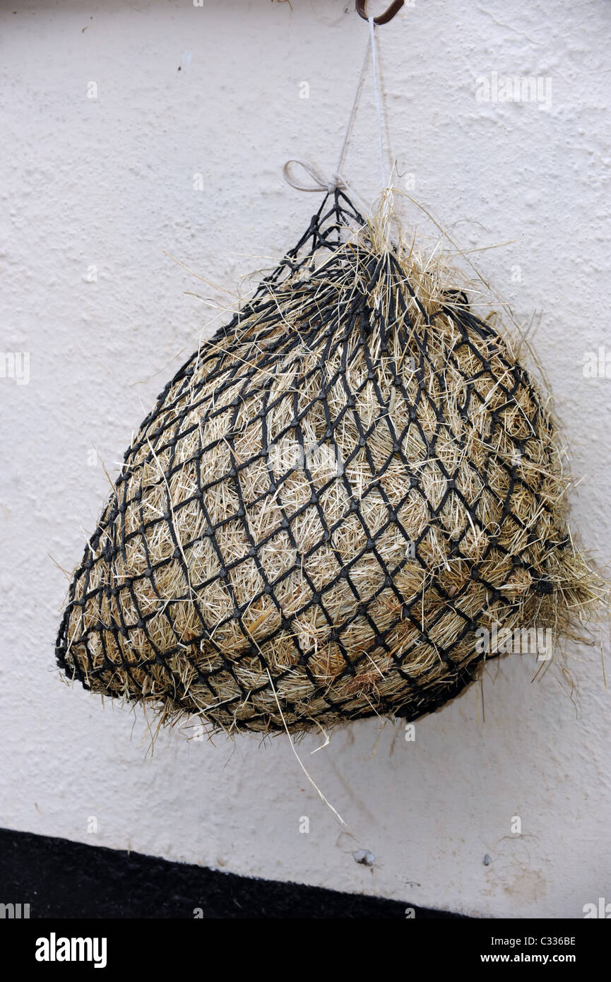 Haylage horse hi-res stock photography and images - Alamy