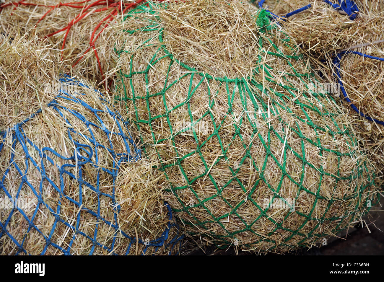 Haylage horse hi-res stock photography and images - Alamy