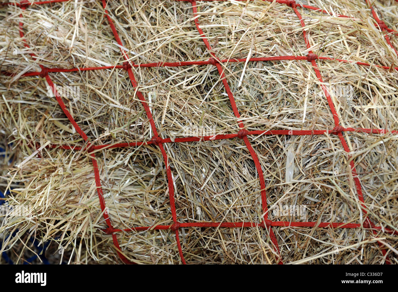 Haylage horse hi-res stock photography and images - Alamy