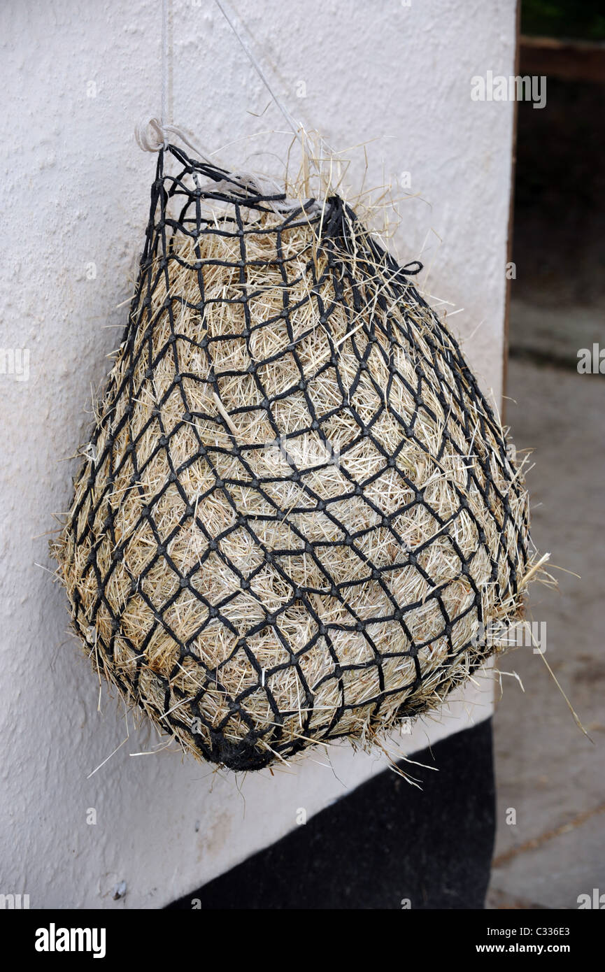 Haylage horse hi-res stock photography and images - Alamy