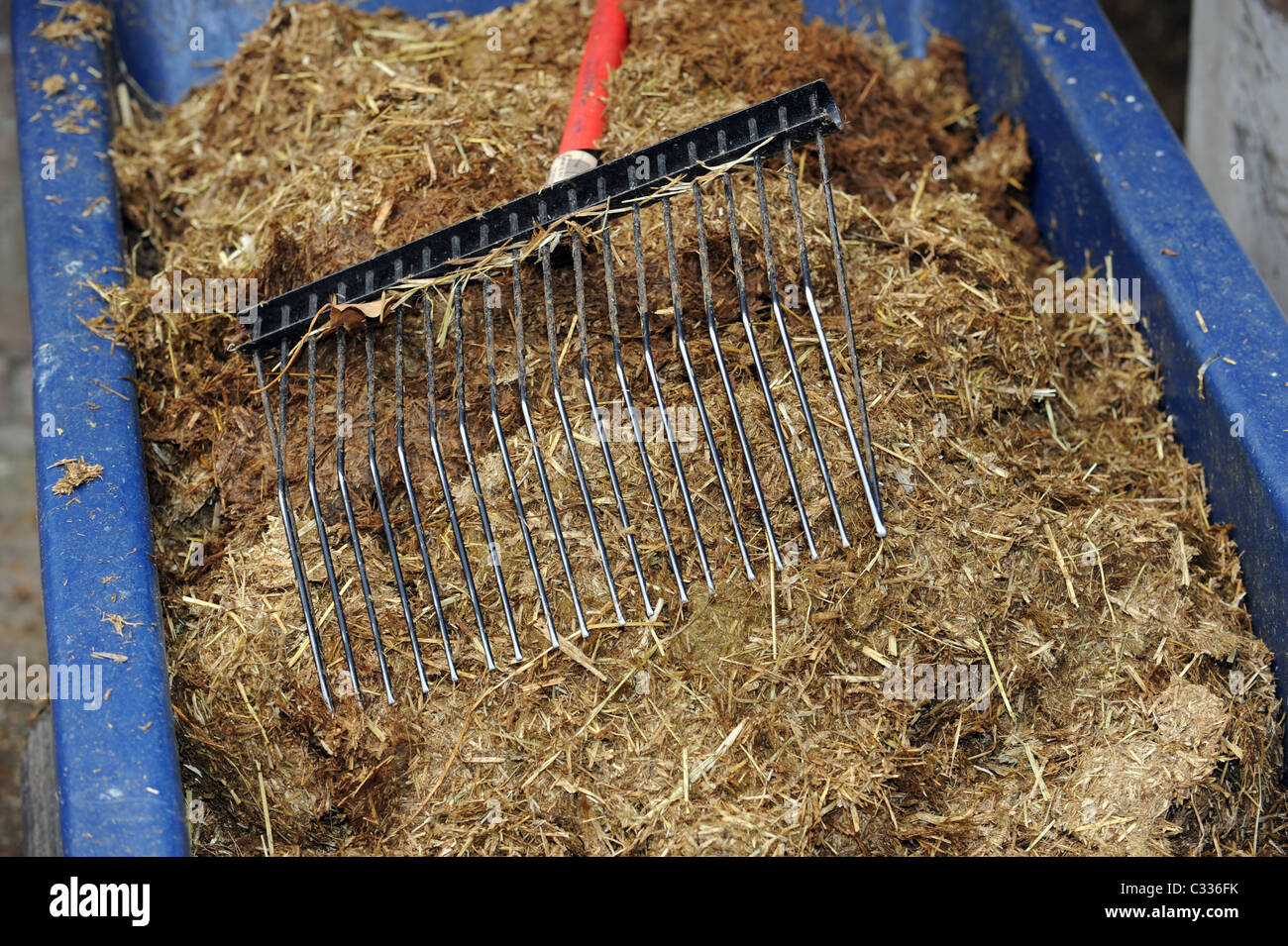 Horse stable mucking hi-res stock photography and images - Alamy