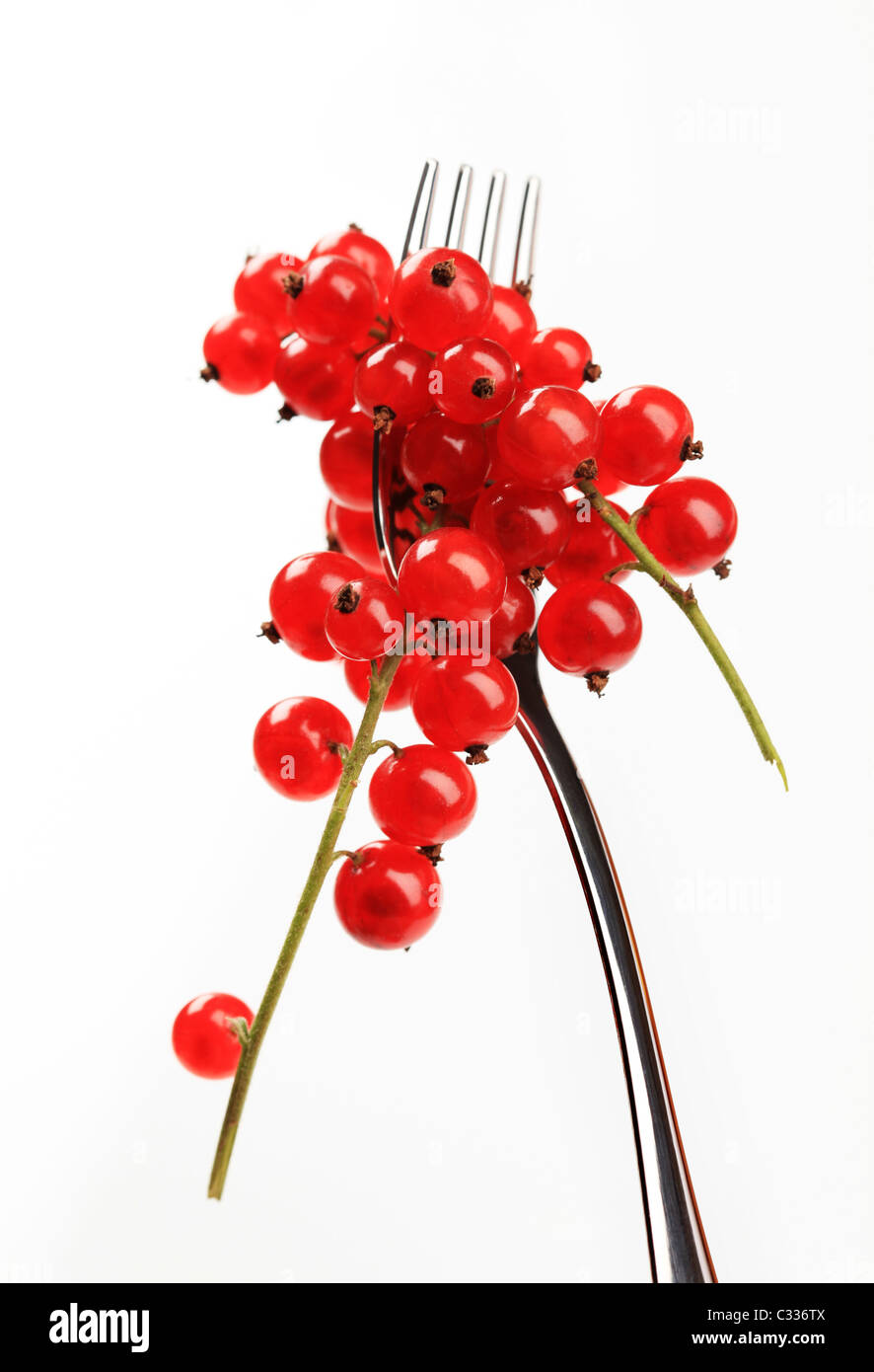 Ripe fresh red currant Cut Out Stock Images & Pictures - Alamy