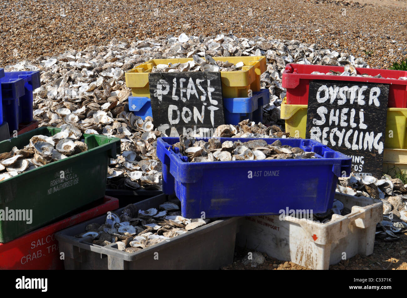 Oyster Shell Recycling, Whitstable, Kent Stock Photo - Alamy