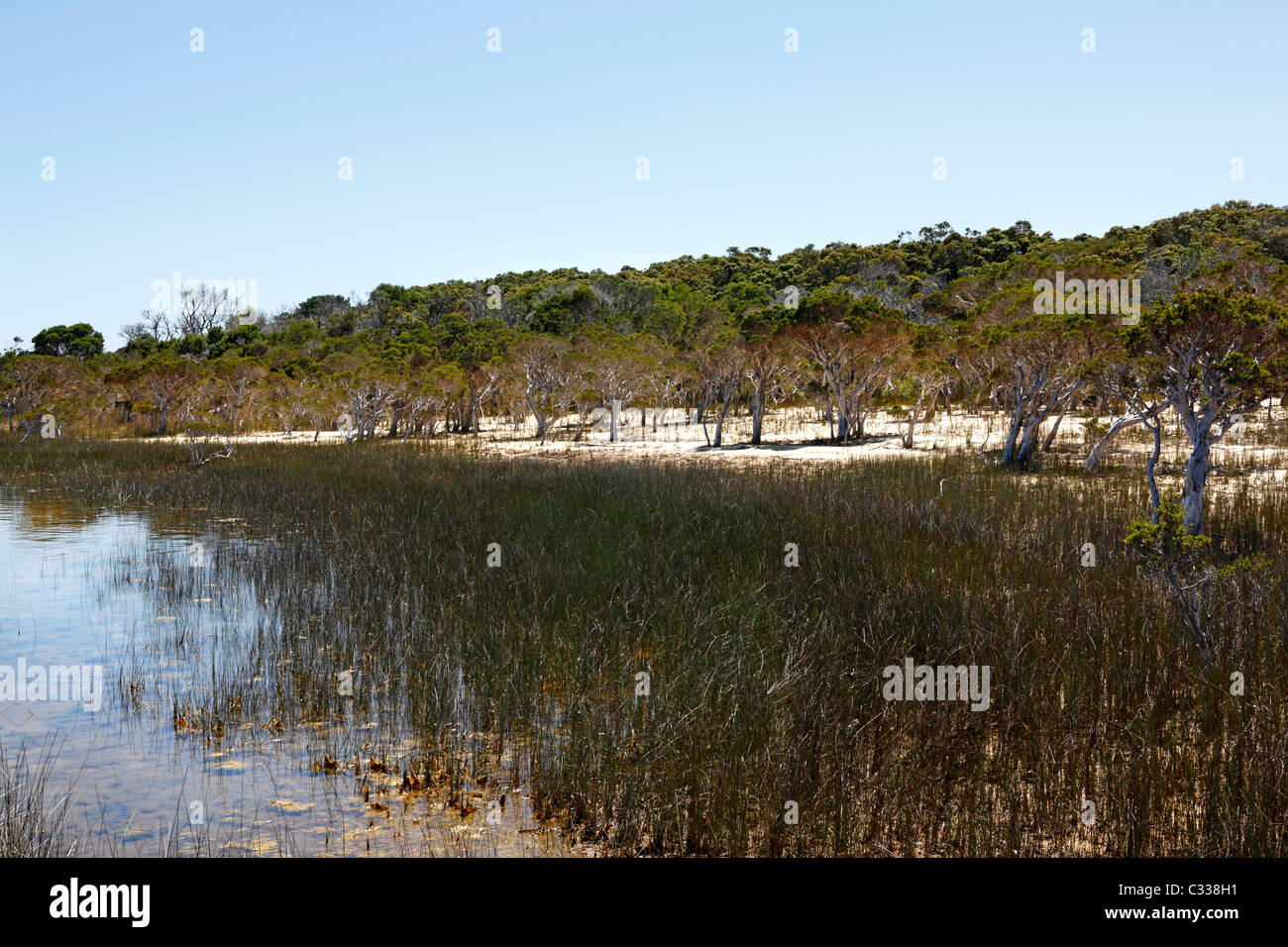 Broke inlet hi-res stock photography and images - Alamy