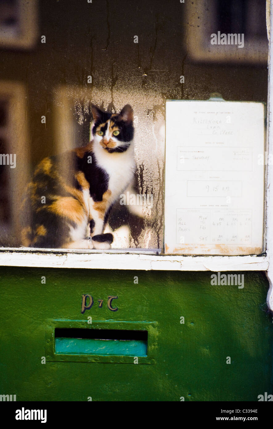 Kilfenora, Co Clare, Ireland, Cat In Window Of Post Office Stock Photo ...