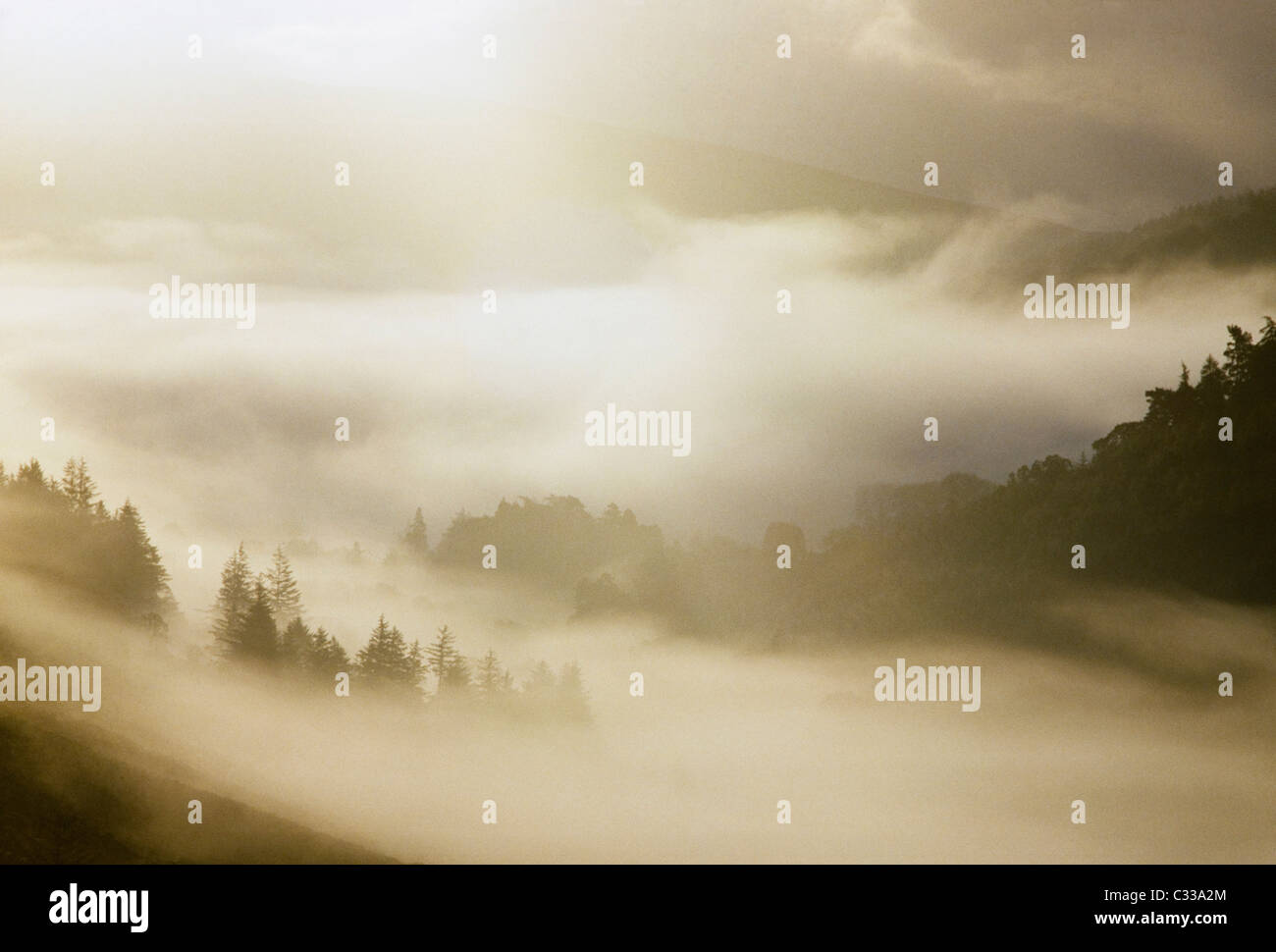 Glendalough, Co Wicklow, Ireland, Mist Stock Photo - Alamy
