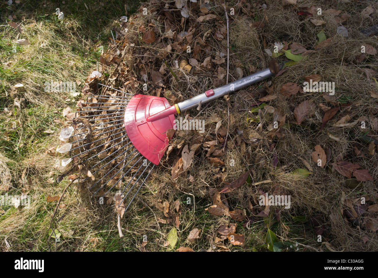 Tine leaves hi-res stock photography and images - Alamy