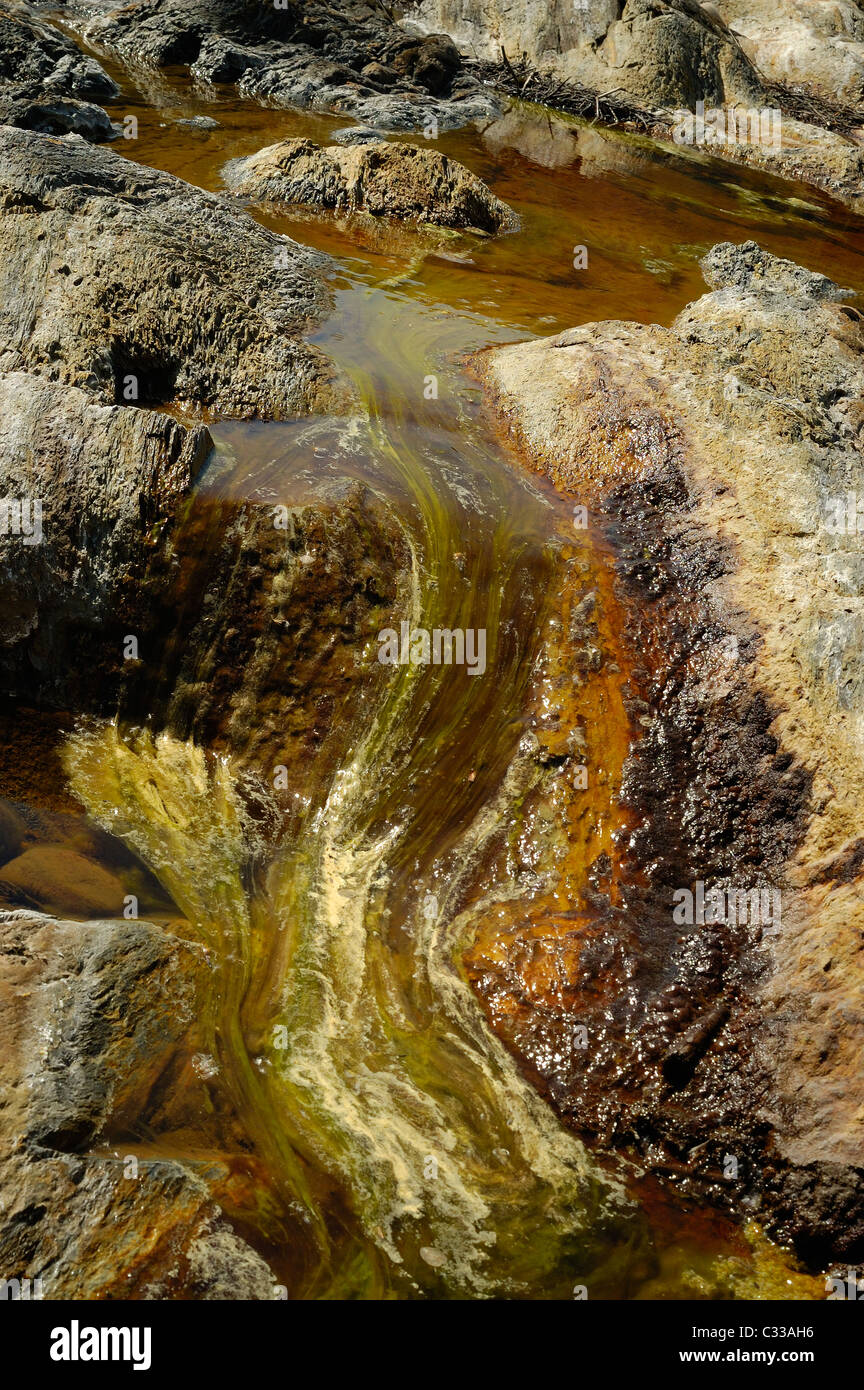 Ferruginous water and algae. River Sil, Quiroga, Lugo, Galicia, Spain ...