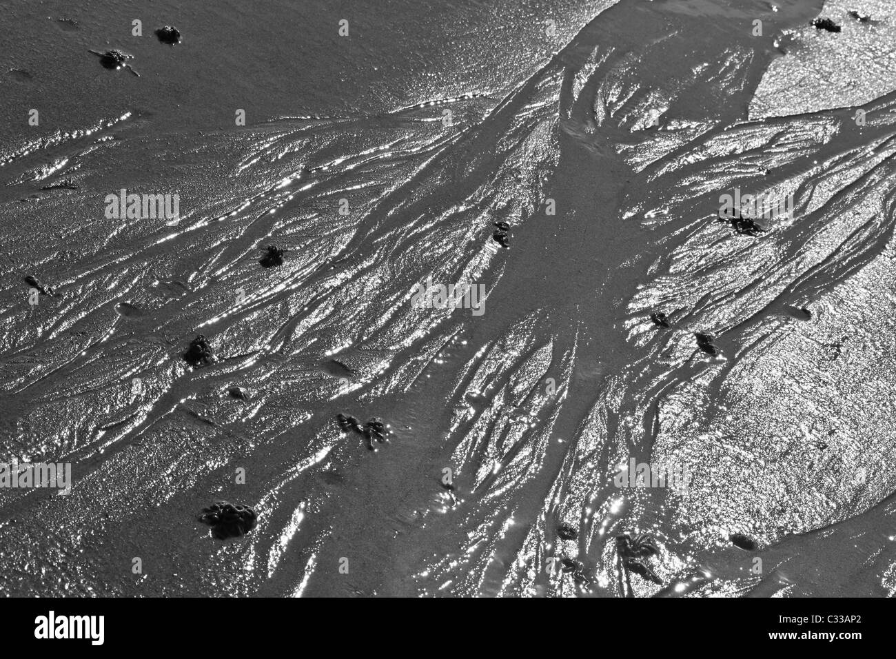 Thorntonloch Beach, East Lothian, Scotland - sand patterns Stock Photo ...