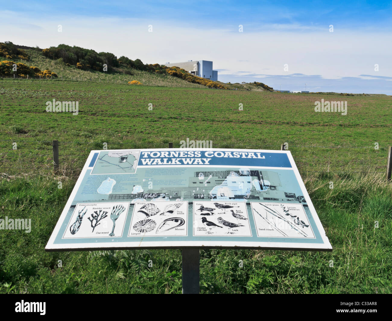 Torness twin Advanced Gas Cooled nuclear reactor power station, East ...