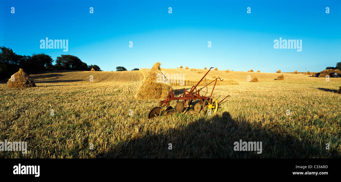 Field of oats ireland hi-res stock photography and images - Alamy