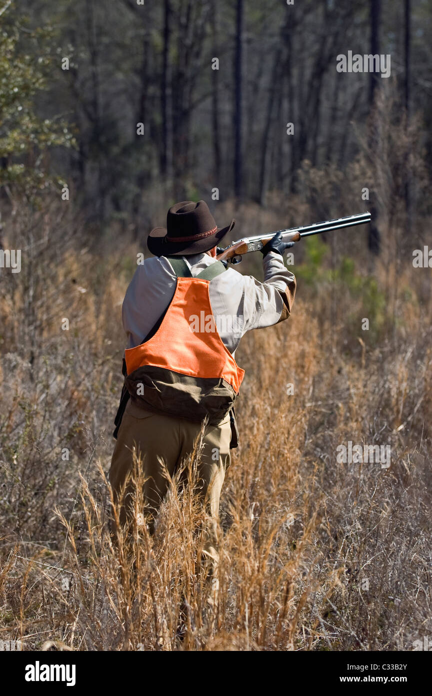 Upland Bird Hunter Shooting an Over and Under Beretta Shotgun during a ...