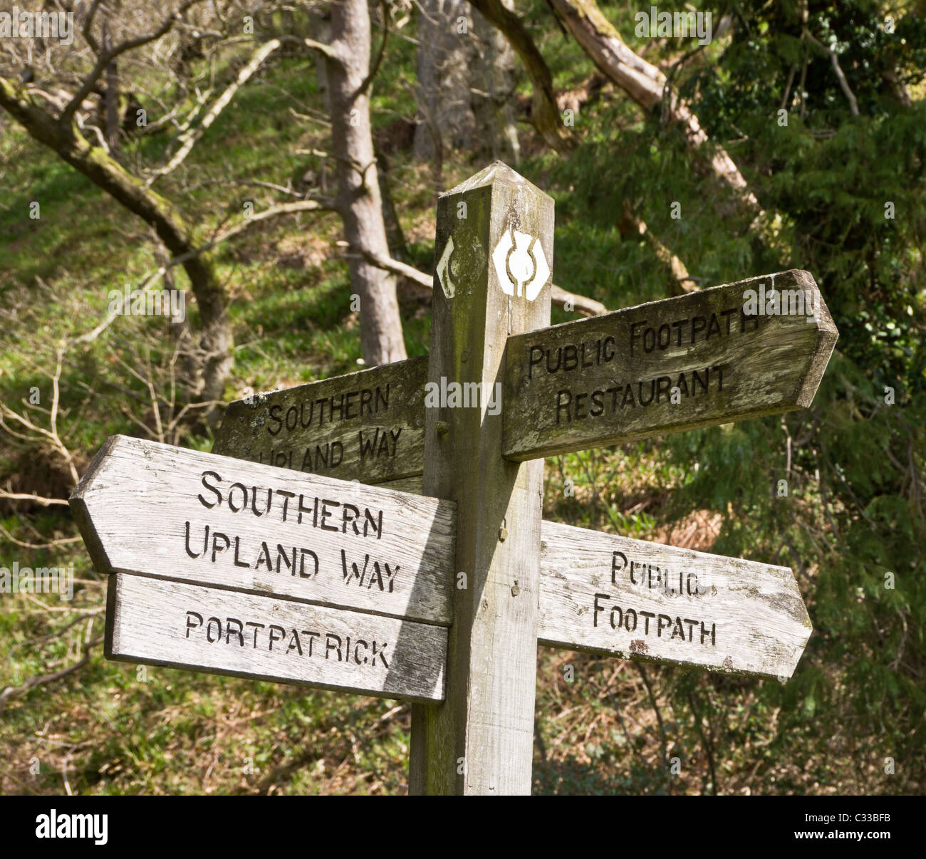 Borders abbey way hi-res stock photography and images - Alamy