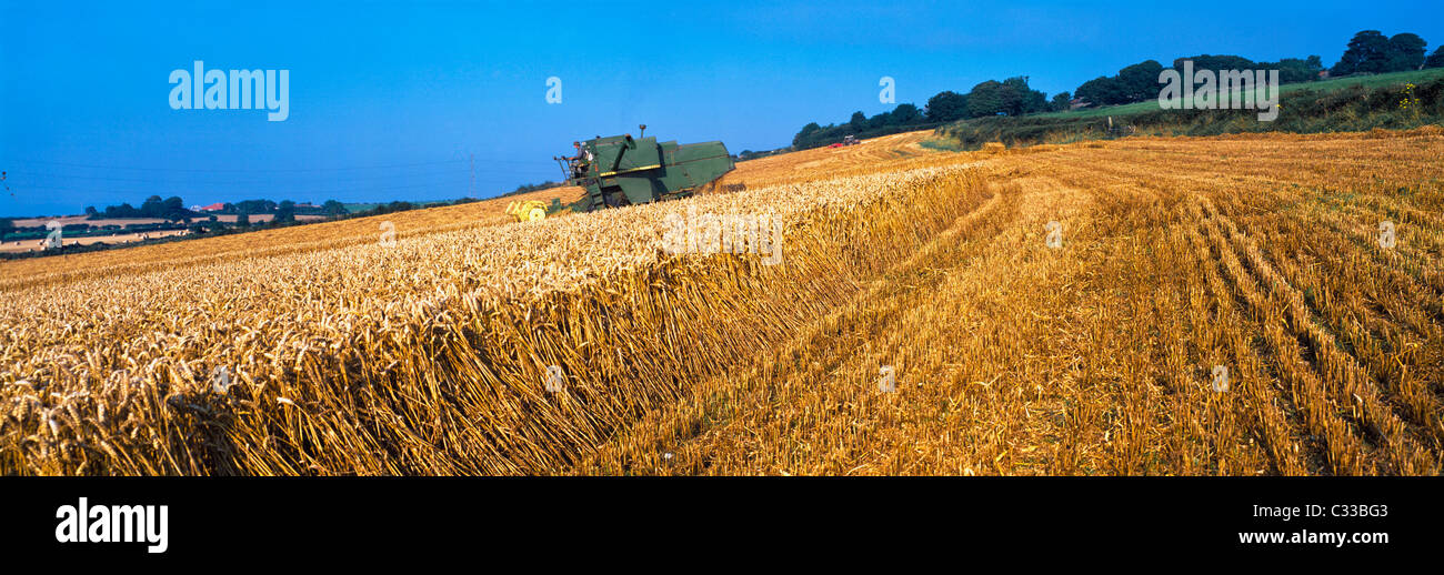 Combine Harvesting, Wheat Stock Photo - Alamy