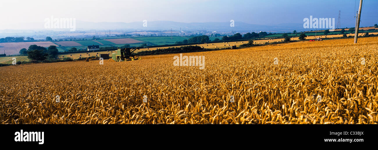 Combine harvest ireland hi-res stock photography and images - Alamy