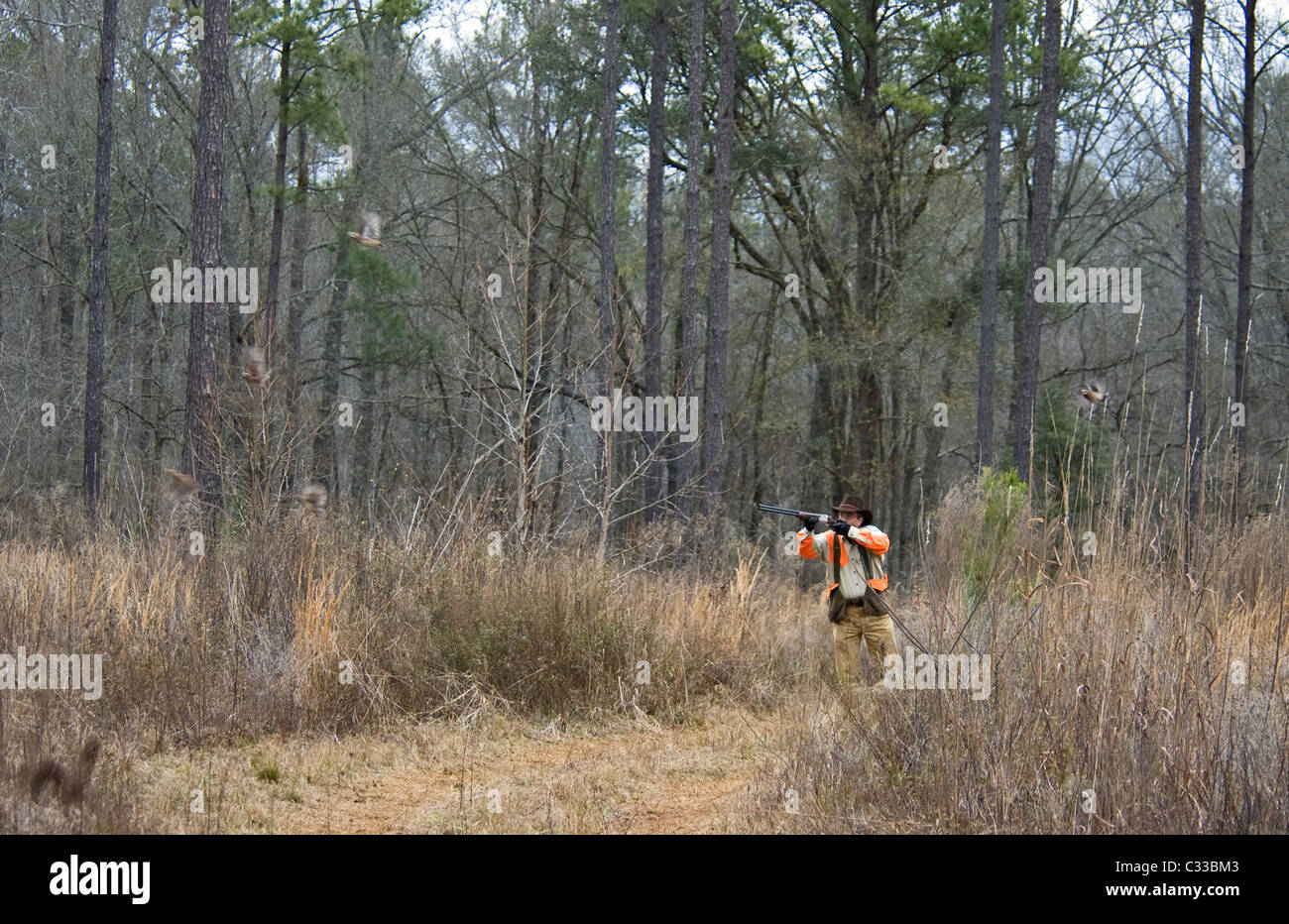 Flushing Birds High Resolution Stock Photography and Images - Alamy