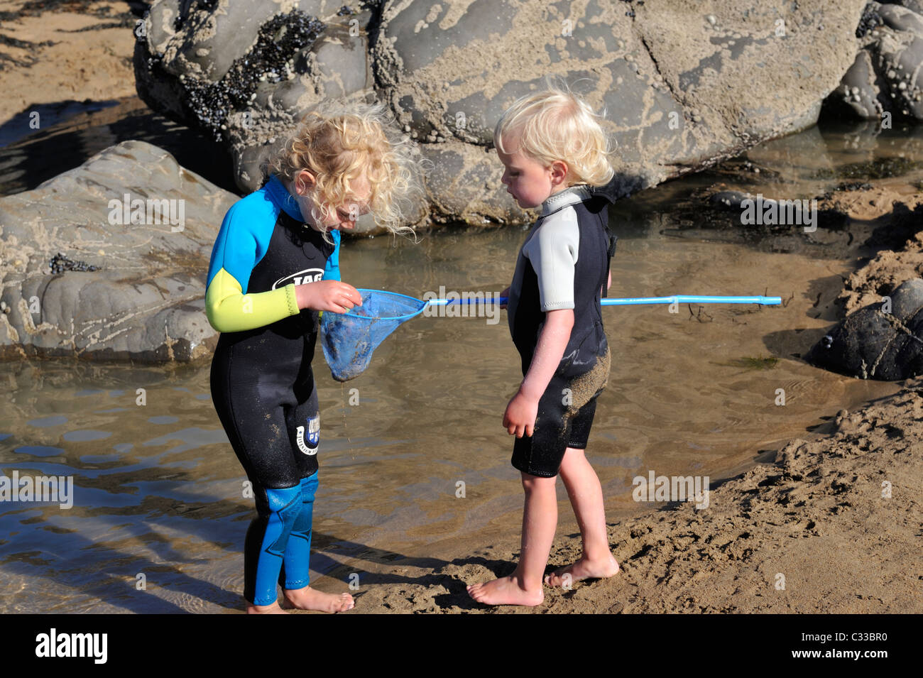 Two young children playing in tide pool with fishing net Stock Photo ...