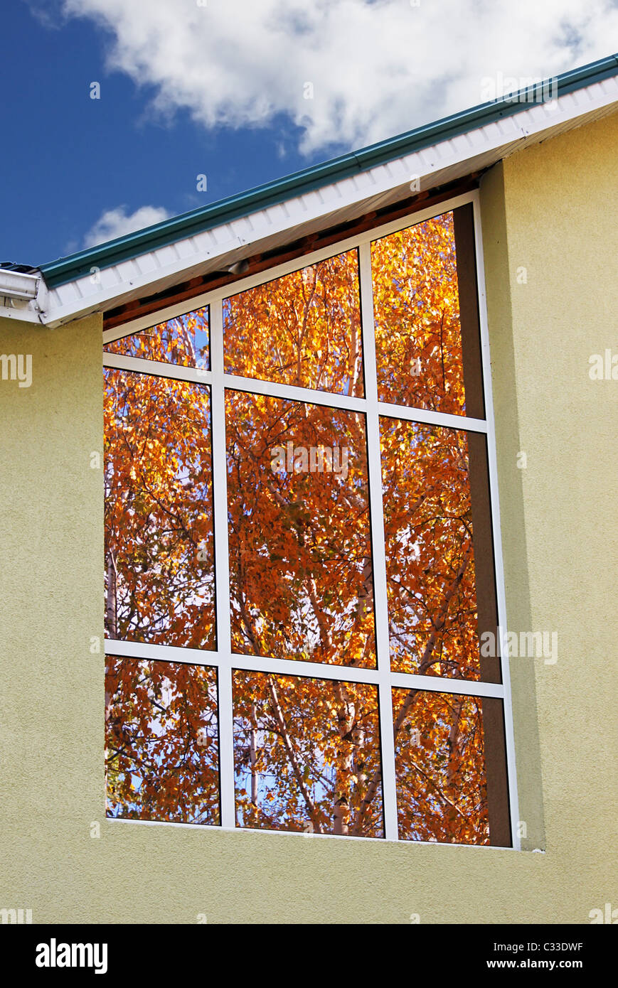 Reflection of tree in window hi-res stock photography and images - Alamy