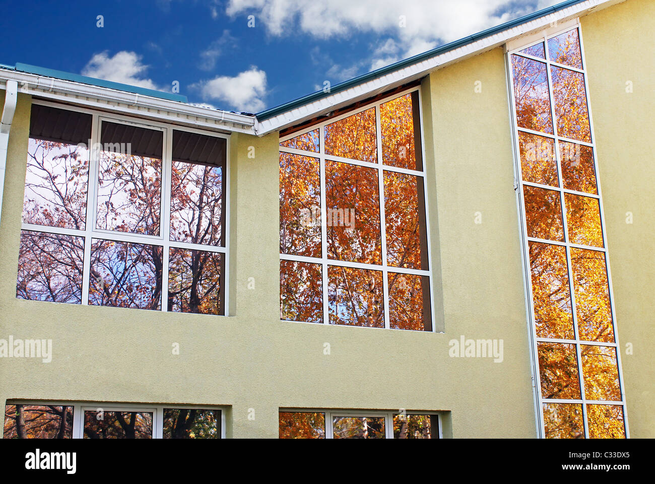 reflection of birch trees and sky in windows of cottage Stock Photo - Alamy