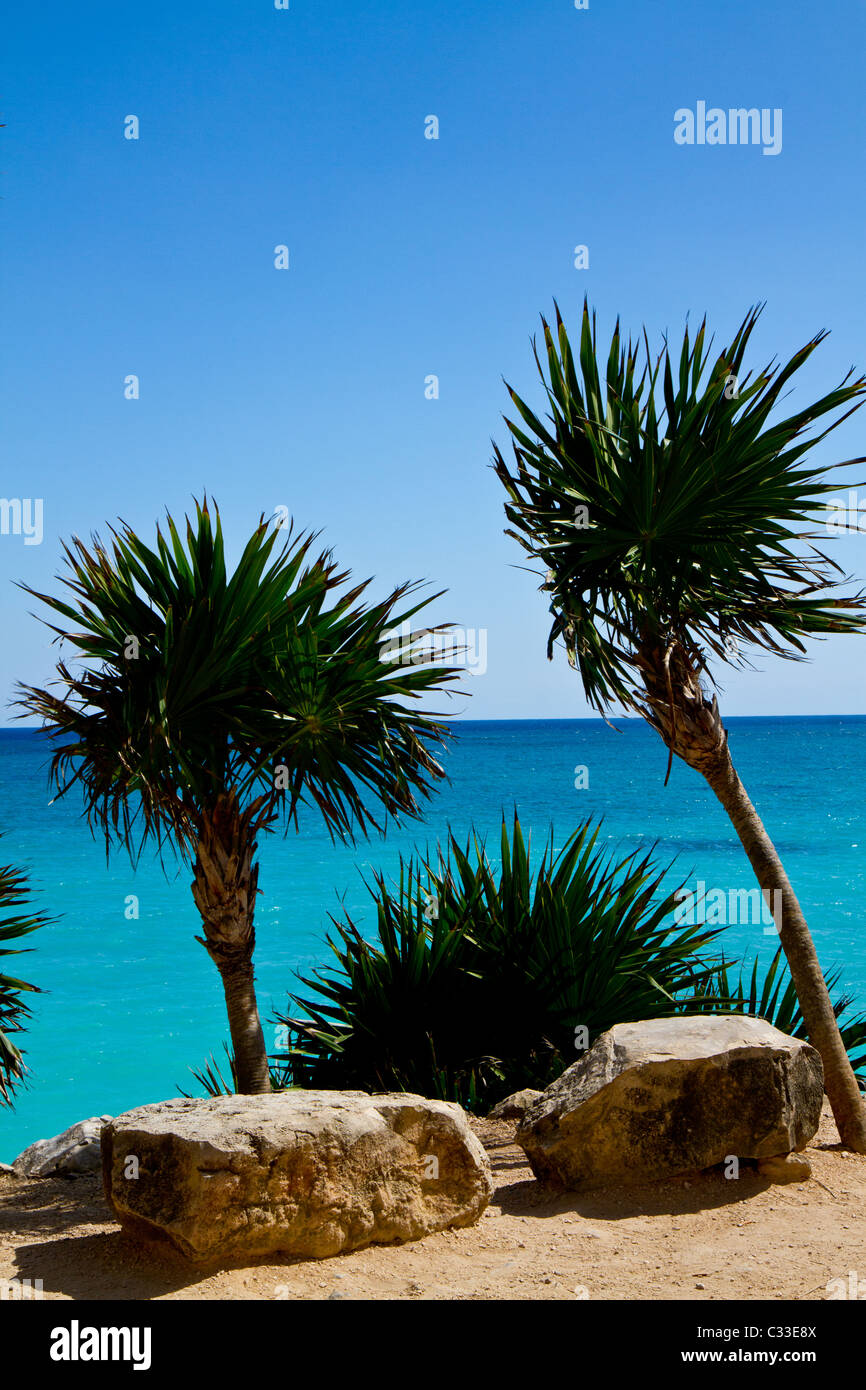 Caribbean resort hi-res stock photography and images - Alamy