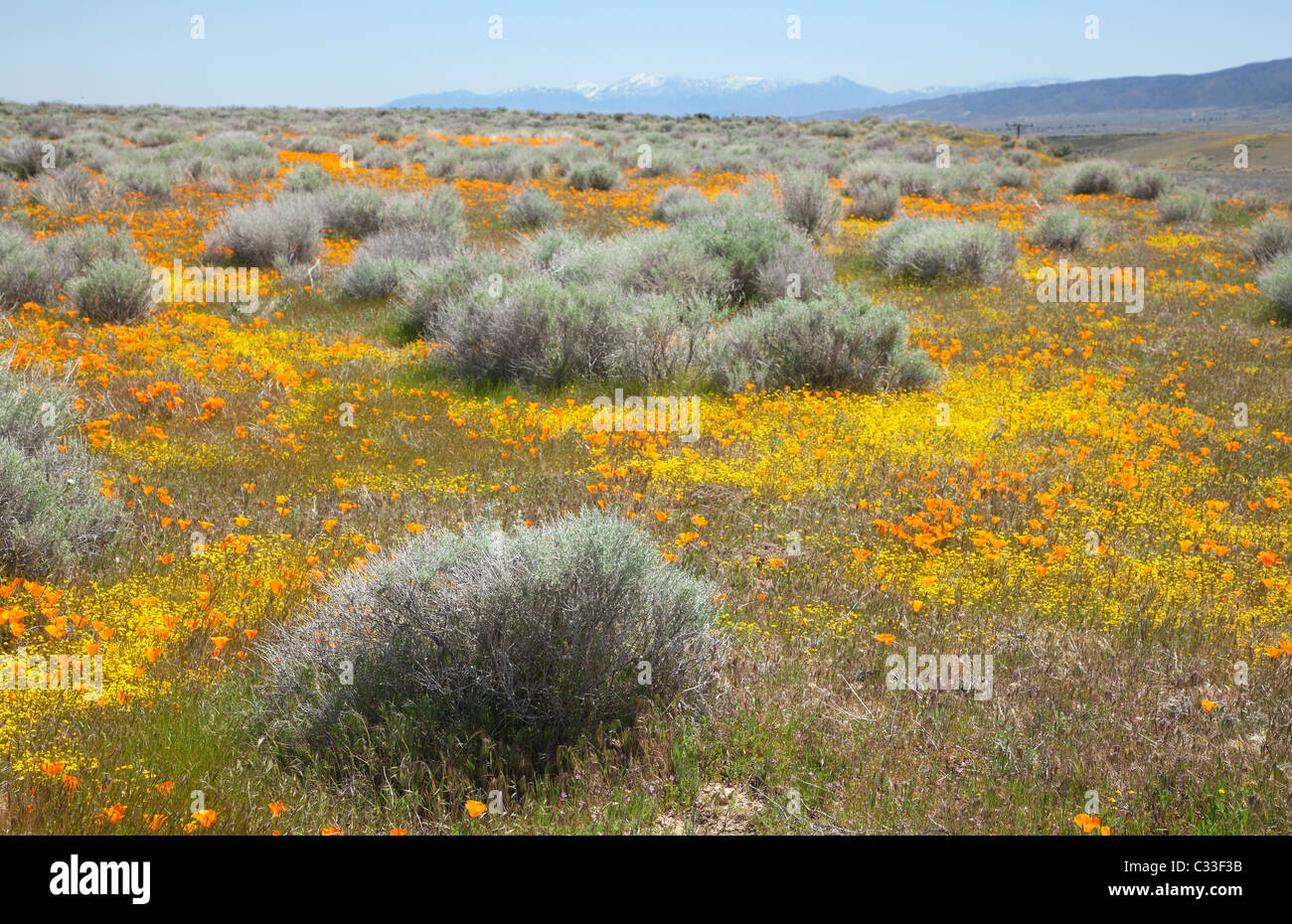 Antelope valley hi-res stock photography and images - Alamy