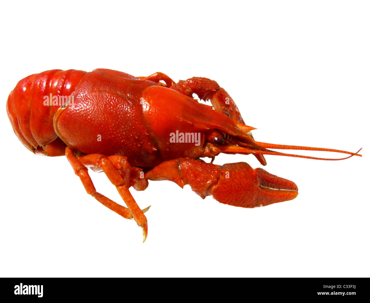 Beer drink snack food Cut Out Stock Images & Pictures - Alamy